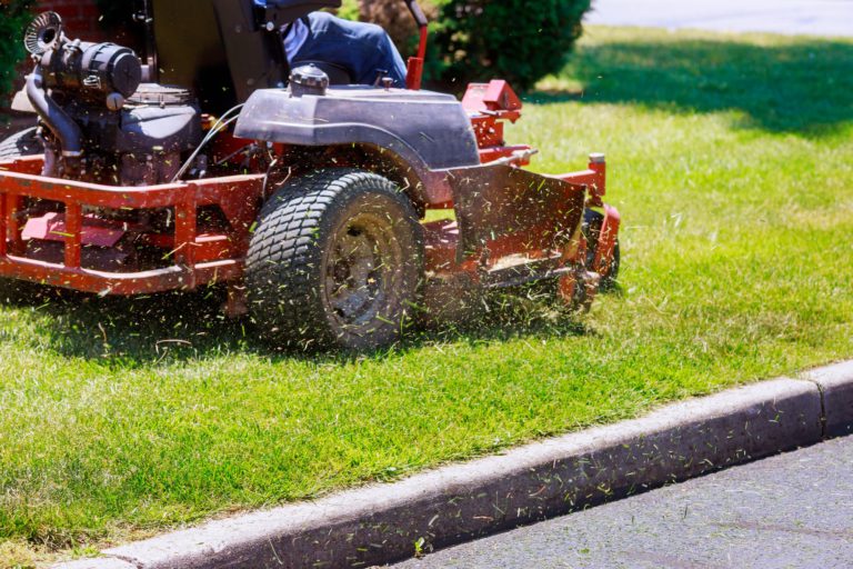 Lawn Scalping: When to Use It and How to Do It Right - LawnGuru Blog