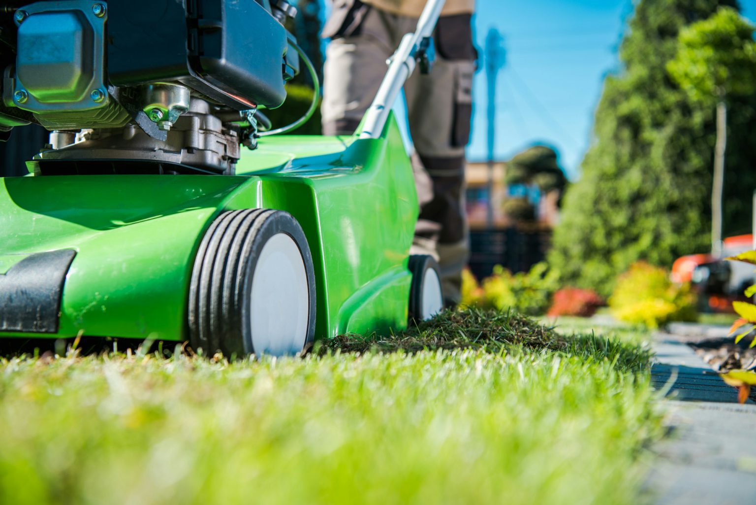How to Overseed a Lawn: Step-by-Step Guide for Better Turf - LawnGuru Blog