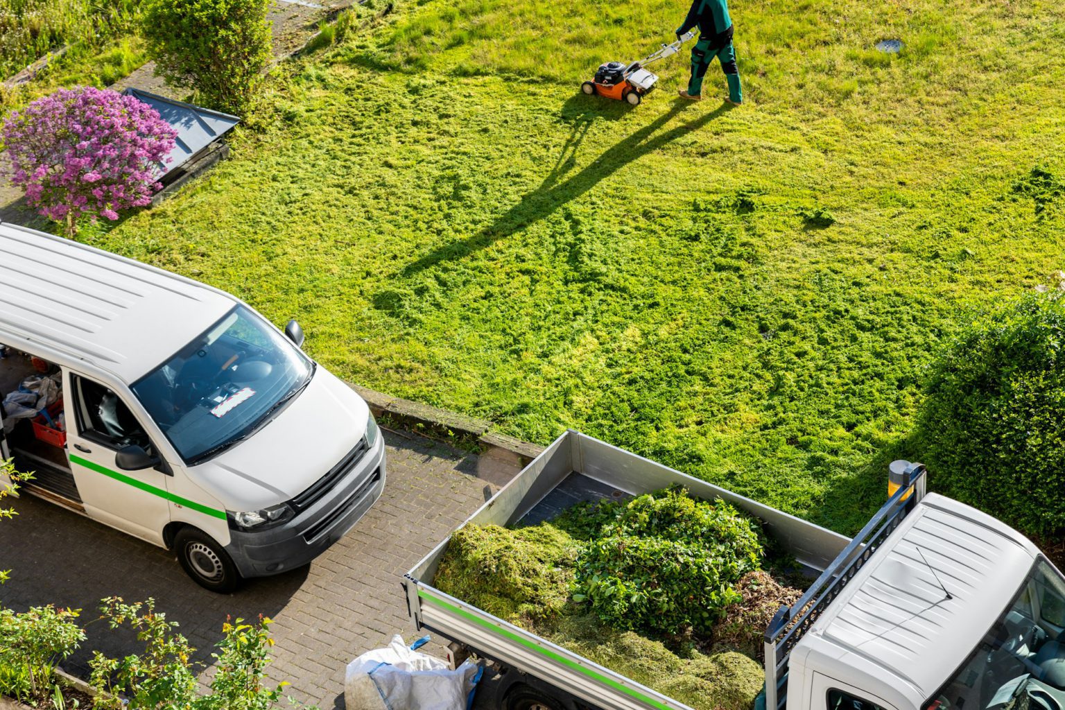 What Is Thatch and How to Dethatch a Lawn - LawnGuru Blog