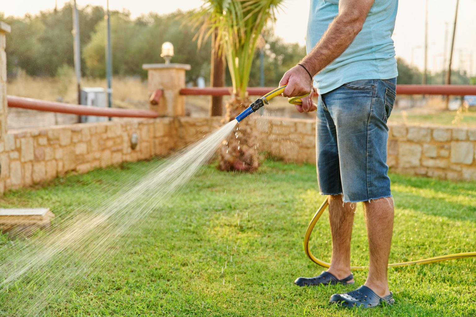 How Long After Weed and Feed Can I Water?