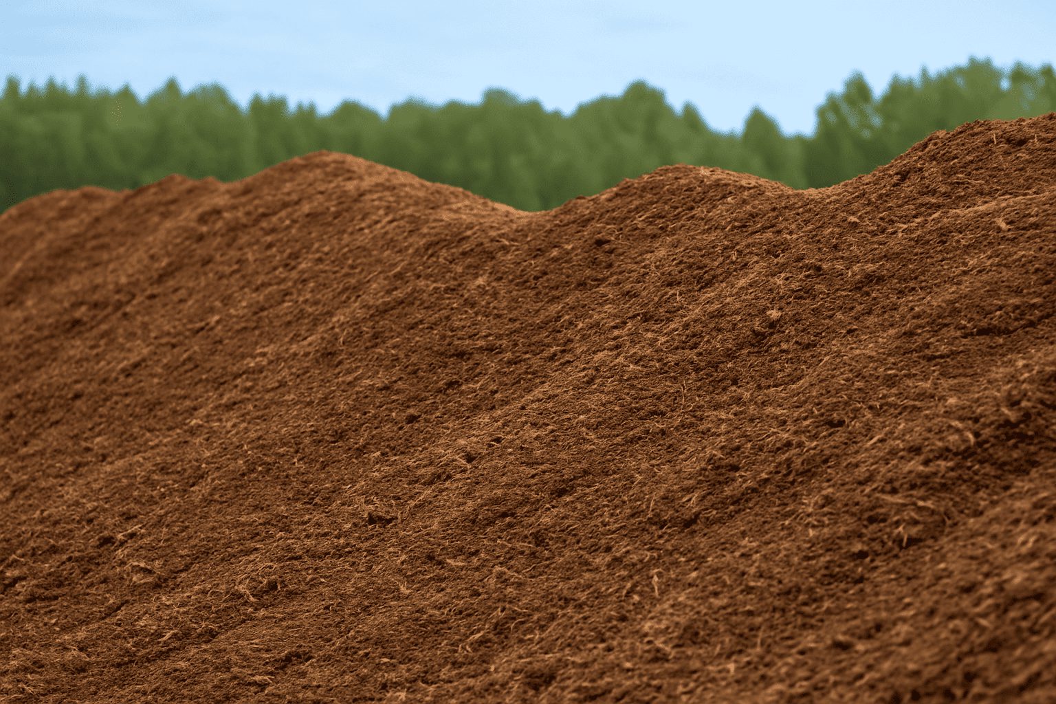 What is Peat Moss? - LawnGuru Blog